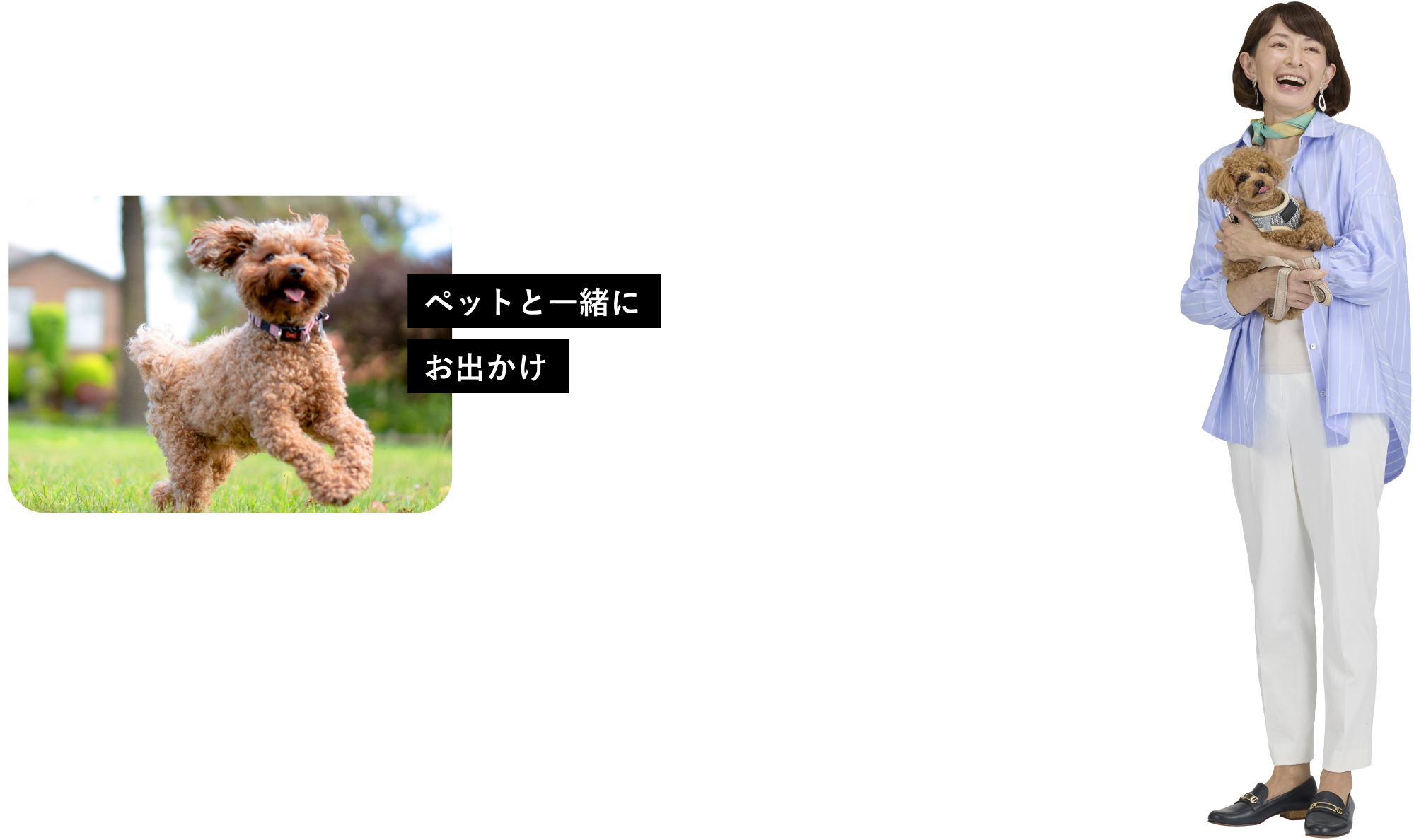 カスタム次第で、みんなにフィットする電動アシスト自転車「PAS Carigo」 - 電動自転車 | ヤマハ発動機